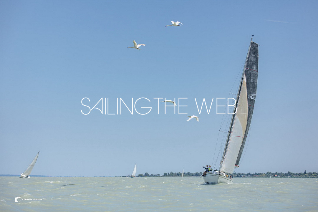 Wing 34 : STW000229 : la fiche technique de SailingTheWeb